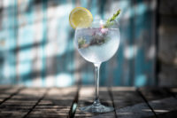 Les cocktails Cicada – Gin Cicada